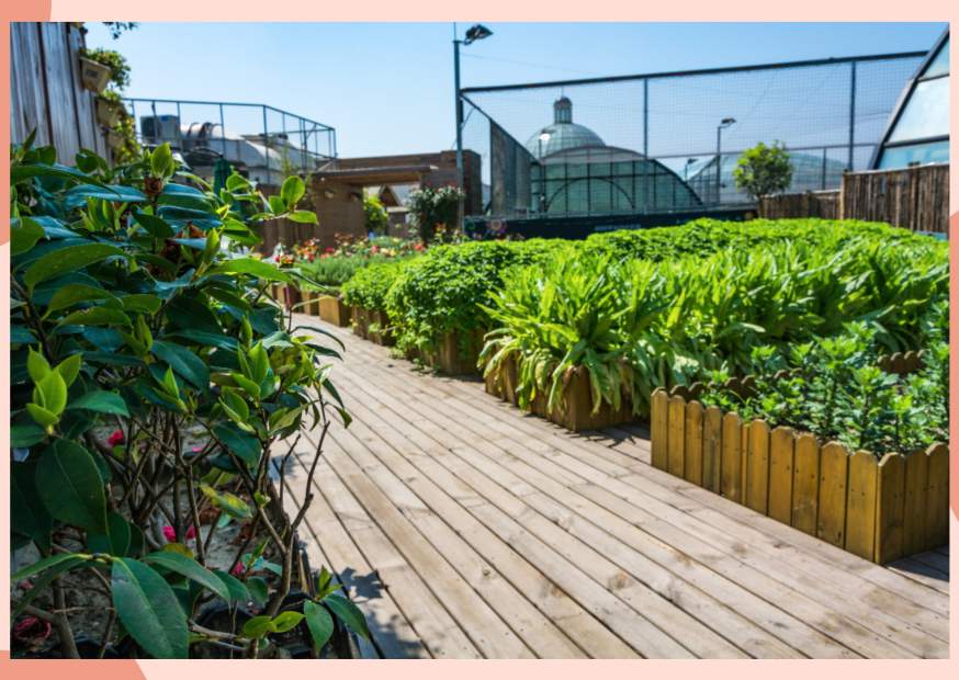 Cara Membuat Roof Garden di Rumah yang Instagramable!
